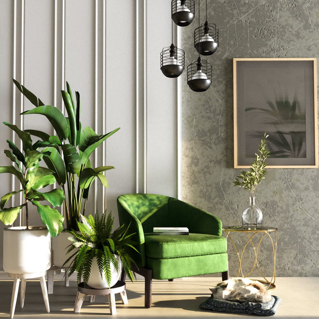 Improve Your Interior Design With Plant and Flower